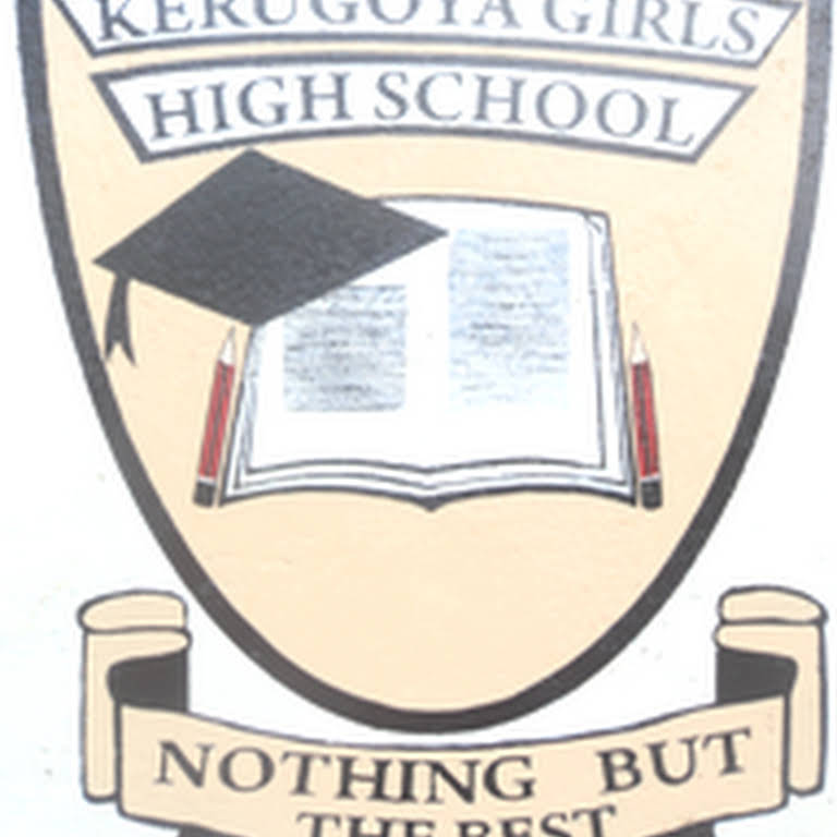 TENDER FOR SUPPLY OF GOODS AND PROVISION OF SERVICES 2023/2024 - KGHS ...