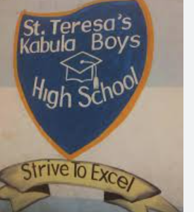 THE PROPOSED ERECTION AND COMPLETION OF PERIMETER FENCE AT ST. TERESA'S ...